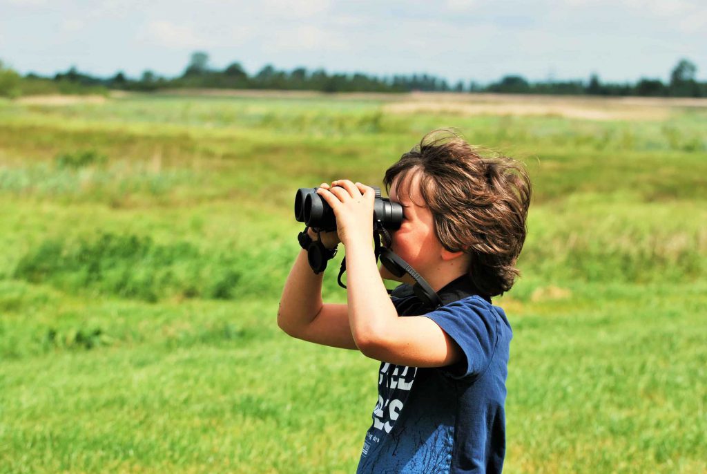 Dutch Tours daytrips from Amsterdam